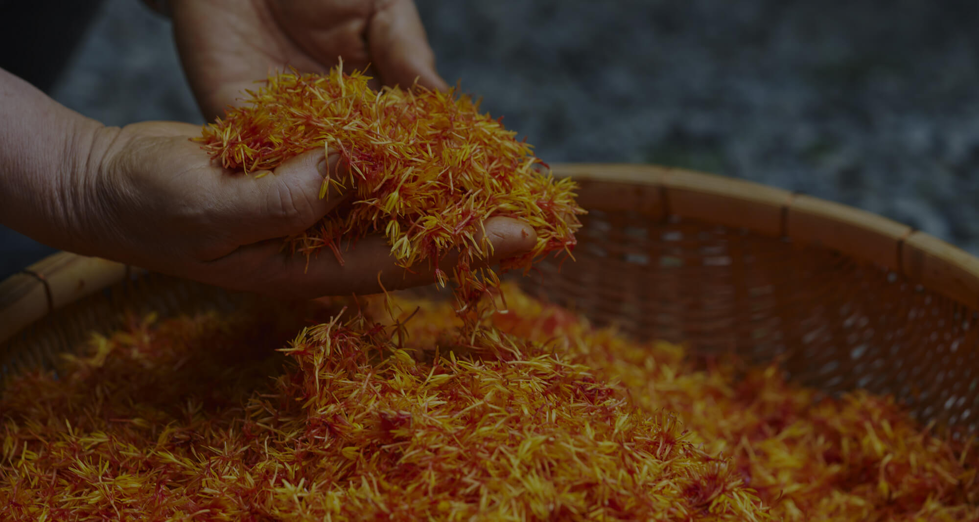 Uplifting and Firming Advanced Cream - VITAL PERFECTION | SHISEIDO